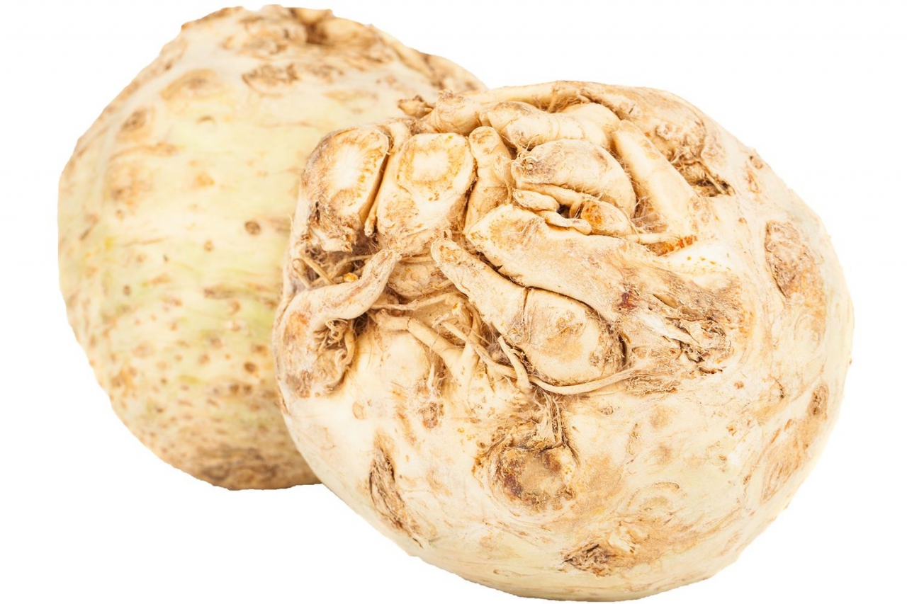 DeliNova - Knolselderij