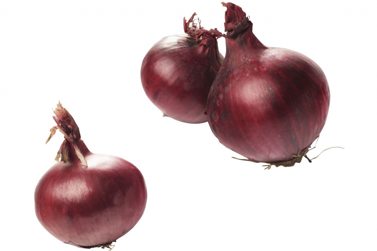 DeliNova - Uien, rood