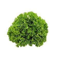 DeliNova - Lollo biondo