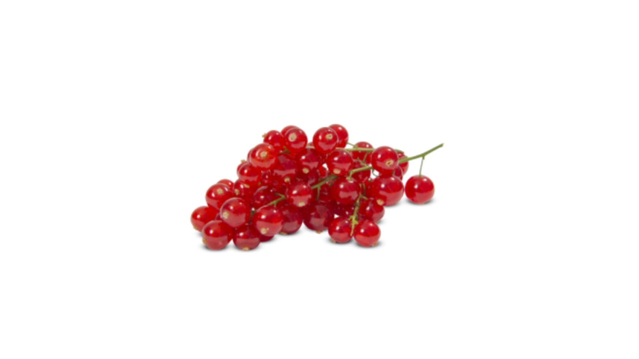 Fresh red berries - Pidii
