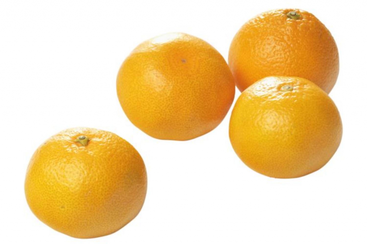 Fruits & vegetables - Pidii