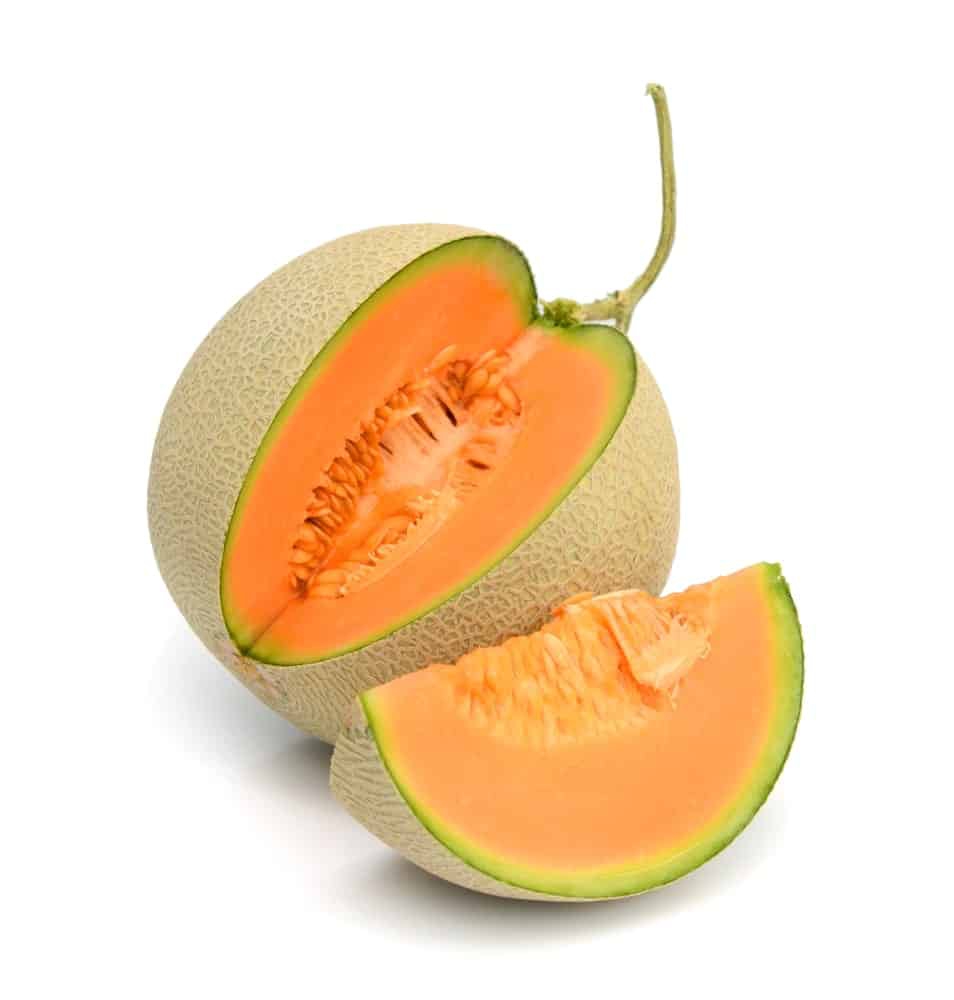 Cantaloupe melon - Pidii